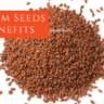 15 Amazing Halim Seeds/ Aliv Seeds Benefits, Uses & Side Effects